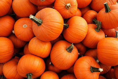 Beragam Manfaat Berharga Buah Labu Bagi Tubuh | Yesdok.com