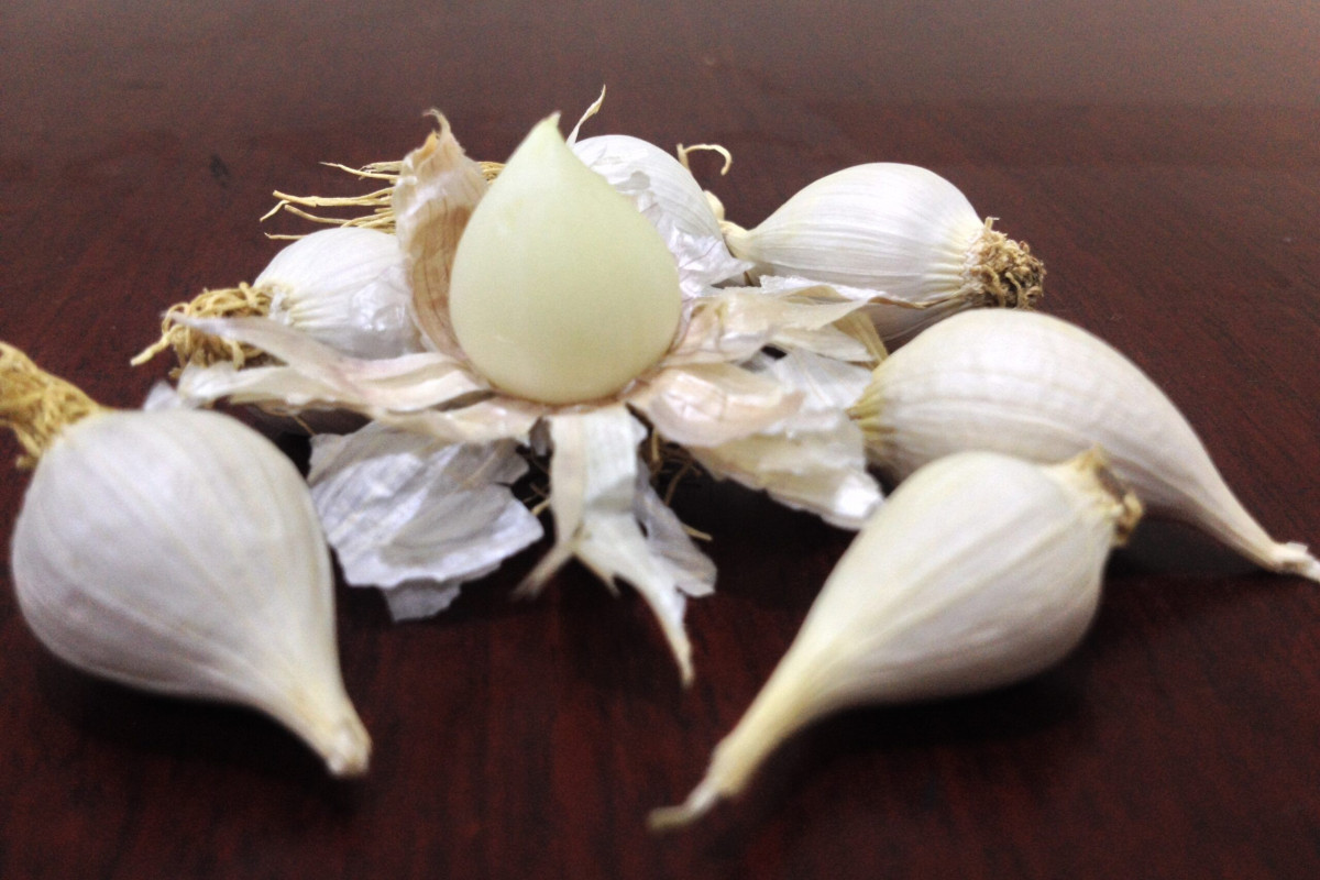 Manfaat Bawang Putih Tunggal, Bisa untuk Memori hingga Kecantikan | YesDok