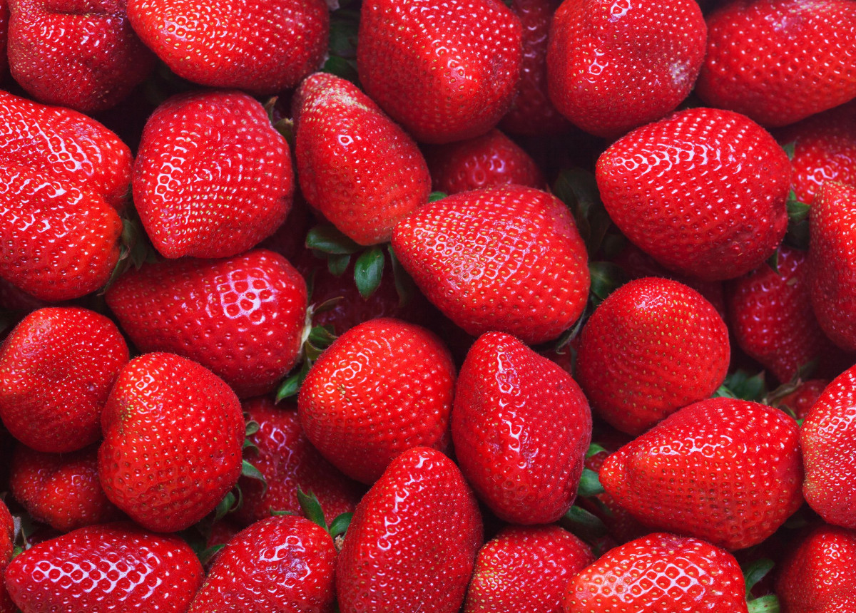 Buah Buahan Untuk Diet Buah Buahan Untuk Diet