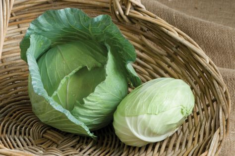 Ini 5 Manfaat Kol. Yuk, Makan Sekarang! | YesDok